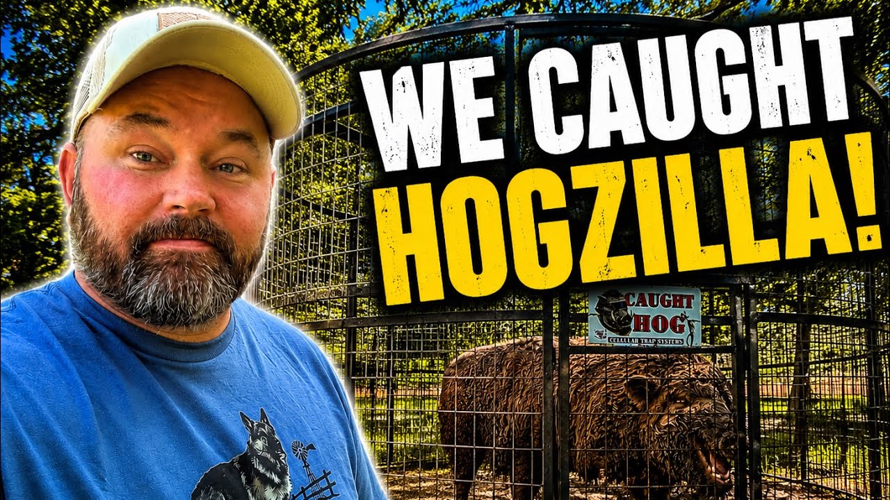 Hogzilla Went Absolutely Crazy In The Trap