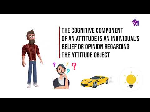 What is Attitude? Definition & Examples of Attitude