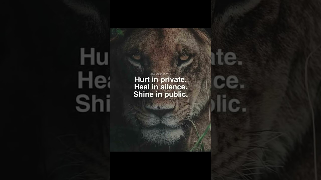 Some funny and true quotes I saved on Pinterest