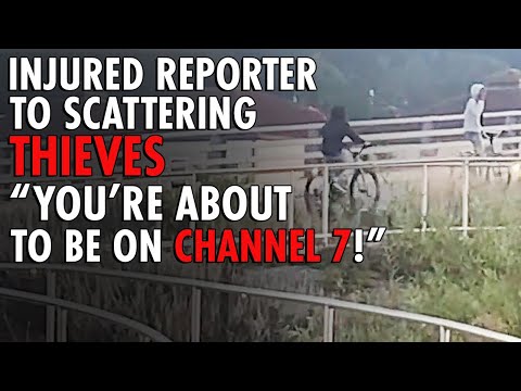 Reporter Dan Noyes PUSHED OFF His Bike: What's Happening To San ...