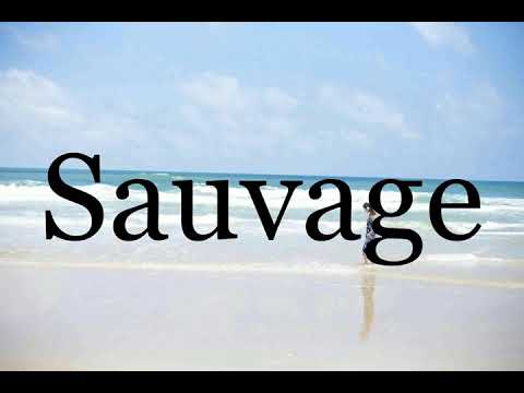How To Pronounce Sauvage🌈🌈🌈🌈🌈🌈Pronunciation Of Sauvage