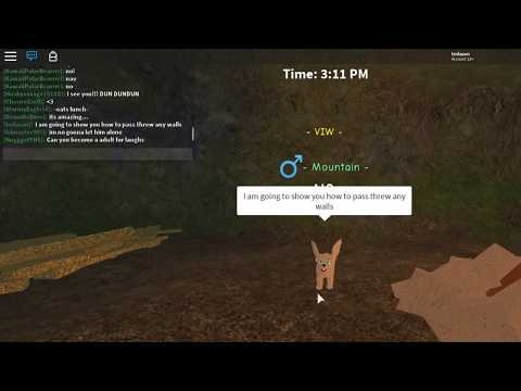 Steam Community :: Video :: Roblox : Wolves' Life 3 Wall Glitch (Patched)