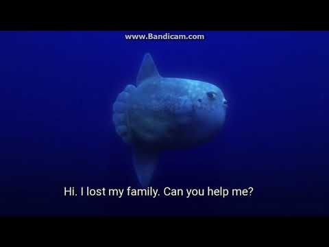 Finding Dory 2 - Sea Creatures, Inte…: English ESL video lessons