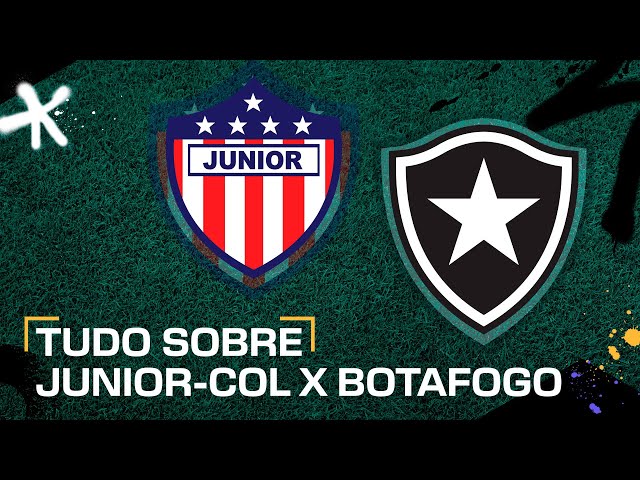 Junior Barranquilla x Botafogo: onde assistir ao jogo da Libertadores
