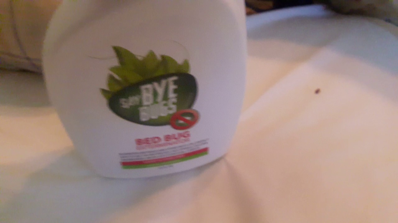 SayByeBugs