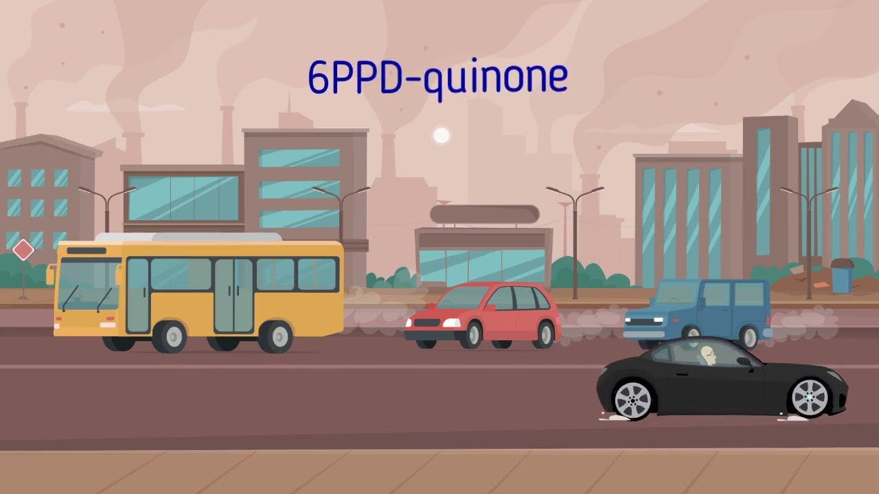 6ppd -  Breaking Science 1