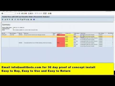SAP SOD Risk and the Related Postings