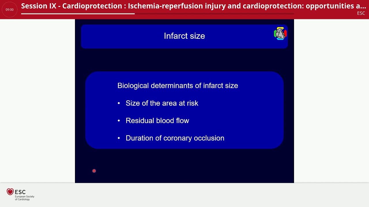 Ischemia reperfusion injury and cardioprotection