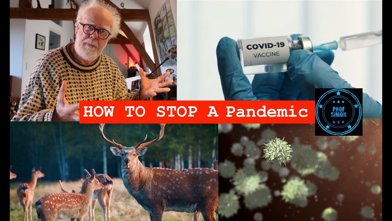 how to stop a pandemic - Prof Simon