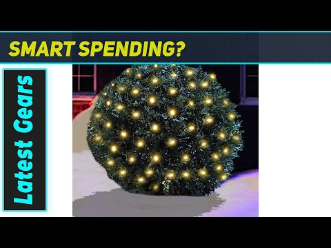 Hishiny 100 Christmas Net Lights: Best Small Bush Christmas Lights