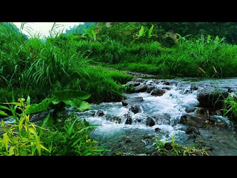 Peaceful Nature - Beautiful Waterfall, Gentle Water Sound, Melodious Birdsong, Gentle Nature