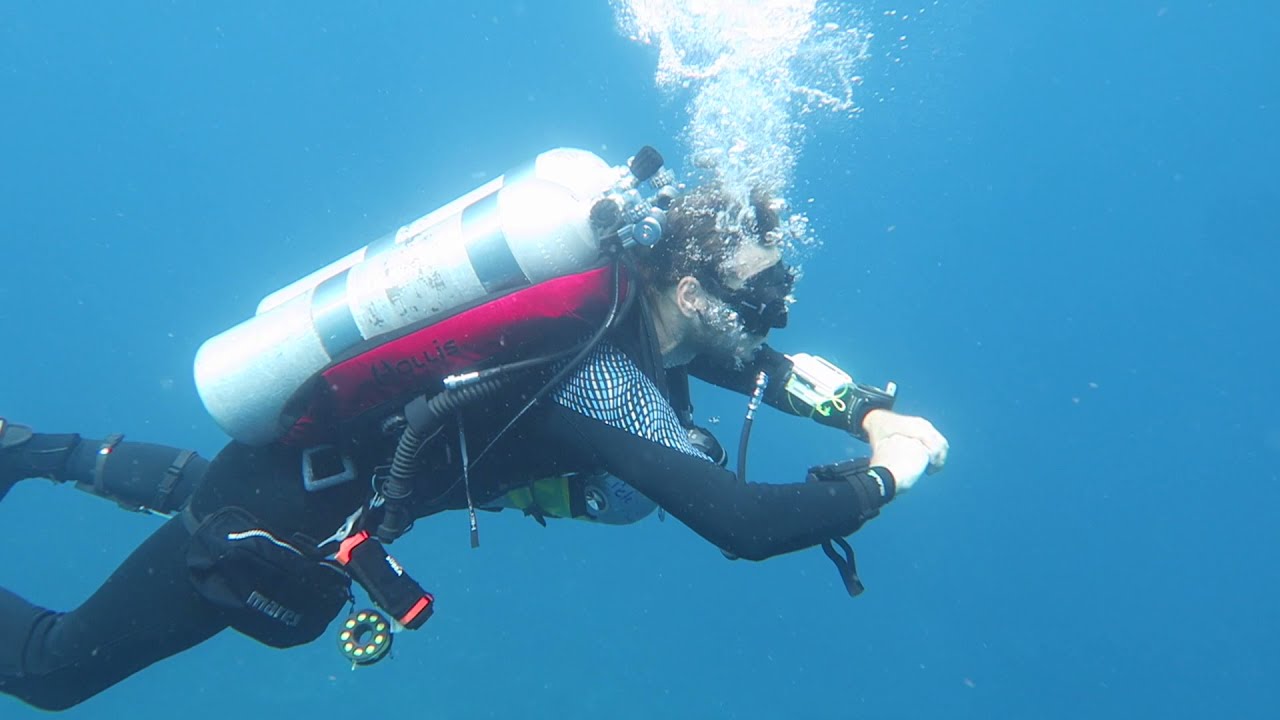 TEC DIVING in Roatan 2021