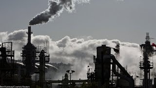 Environmental Protection Officer Overview | What is an environmental ...