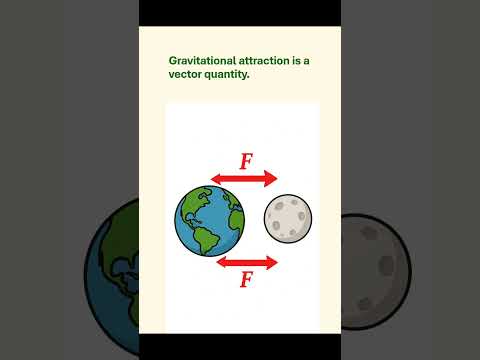 What Is a Vector? Physics in 60 Seconds