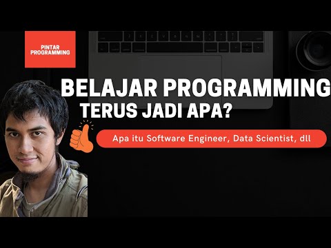 Jenis-jenis profesi programmer & anak informatika