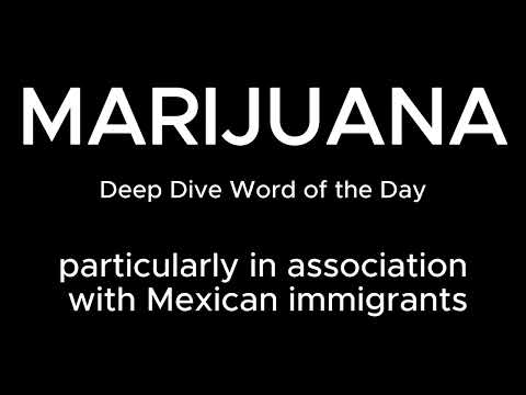 Let's Talk Pot... er, "Marijuana"! The Word's Budding Origins & Tangled Roots!