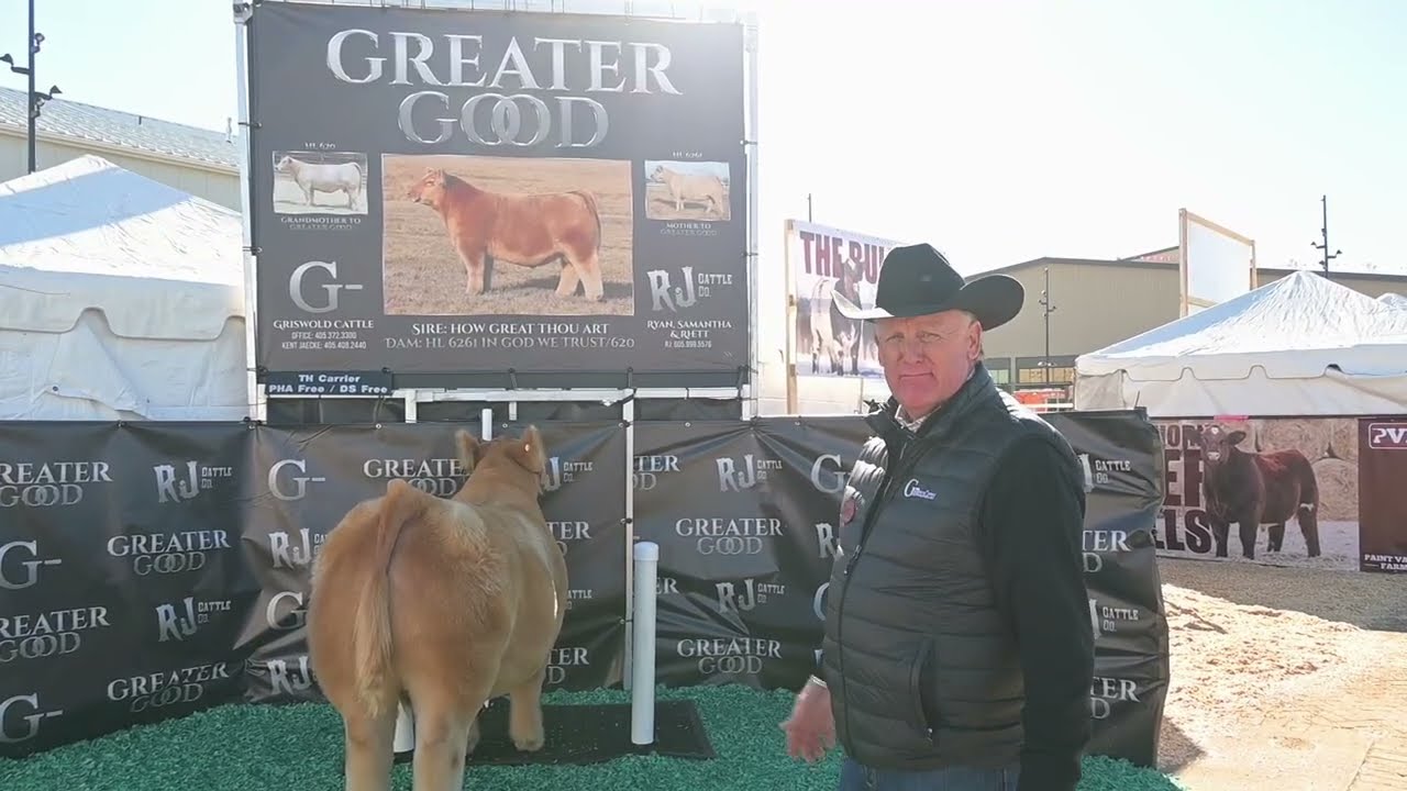 Greater Good and Kent Jaecke/Griswold Cattle in The Yards