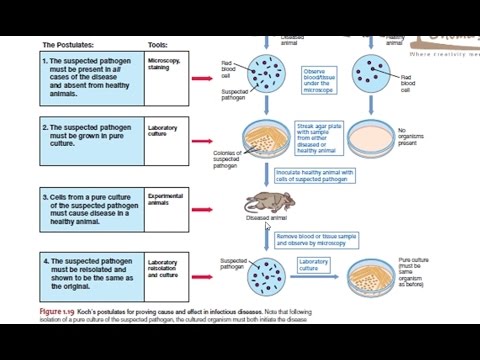 Koch's postulates