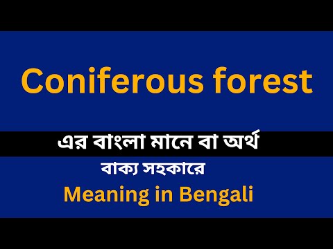 Coniferous forest meaning in bengali/Coniferous forest  শব্দের বাংলা ভাষায় অর্থ অথবা মানে কি