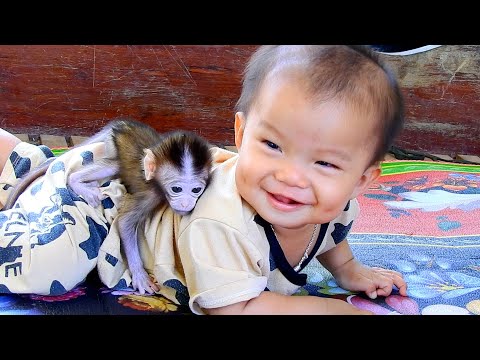 Dimpled Joy & Furry Hugs, Baby and Tiny Monkey in a Moment of Bliss 💕🐒👶