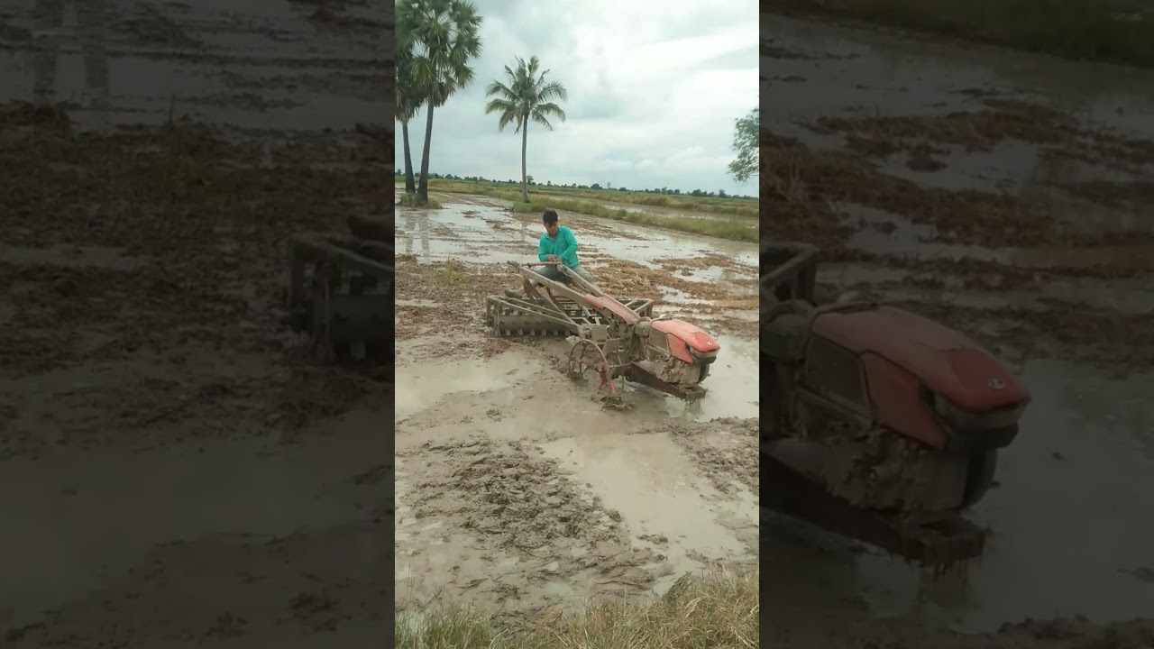 Farmer Plowing Rice Field with Hand Tractor 🌾🚜 | Hard Work in the Mud