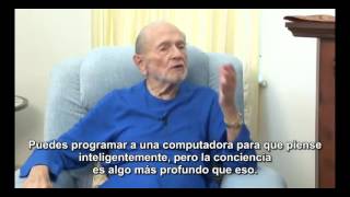 Videos - Ananda Leon