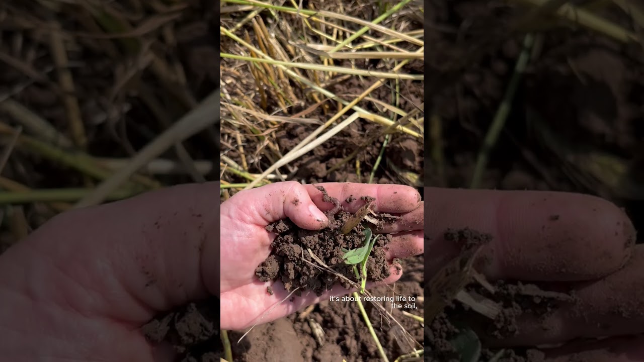 What regenerative farming means to us