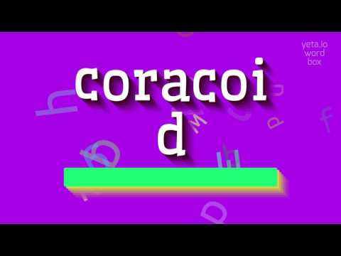 How to say "coracoid"! (High Quality Voices)