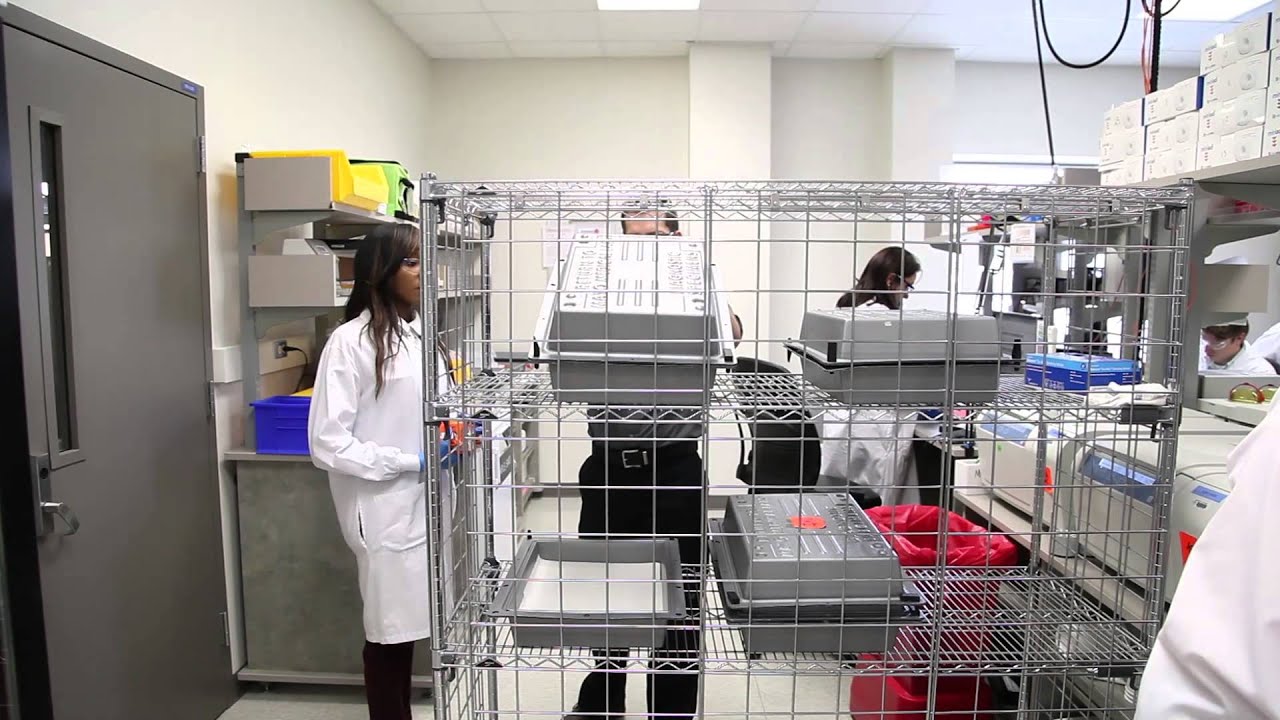 Inside the Mayo Clinic Biobank