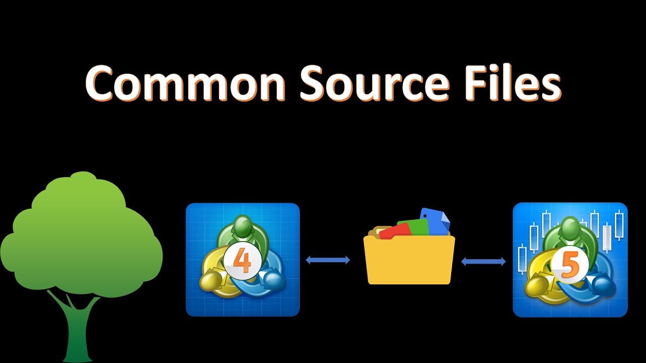 Use The Same Files In Mql4 And Mql5 Code Without Copying Orchard Forex 0708