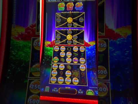 Rakin’ Bacon Coin Combo with all 3 piggies pop @ Muckleshoot 6/13/2025