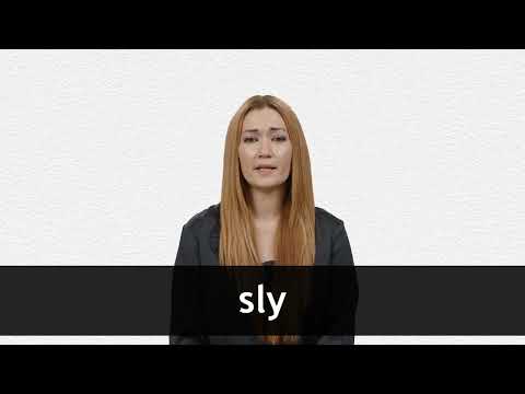 SLY definition and meaning | Collins English Dictionary