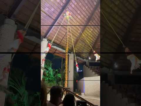 Did you ever wonder what's happening at Xcaret Hotels and Parks? You should be! #xcaret