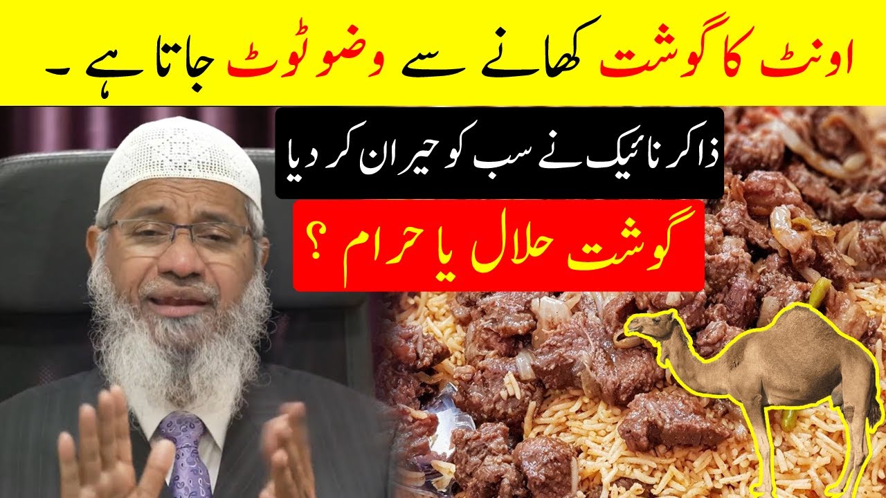 Onte Camel Ka Gosht Kahany Say Wazu Thoot Jata Hain | Doctor Zakir Naik Nay Sub Ko Heran Kr Dia