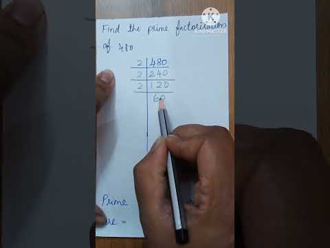 Find The Prime Factorization 480 - Maths / Division Method / Factors And Multiples / ЁЯЦЛЁЯЦЛЁЯЦЛ