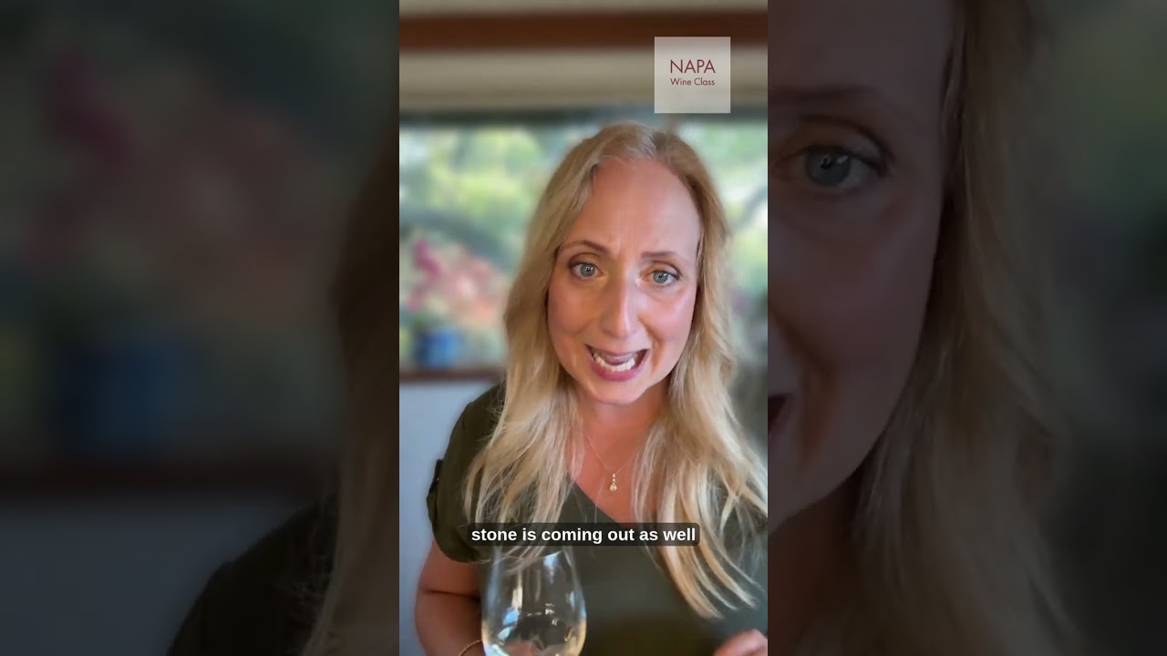 WSET Analysis of Chenin Blanc in Napa Valley | Napa Wine Class with Monika Bielka Vescovi