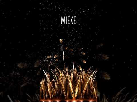 BON ANNIVERSAIRE MIEKE !