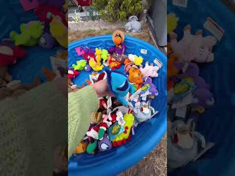 Disney Merch Finds at a Yard Sale in Florida near Disney World Parks! Vintage Plush & Collectibles!