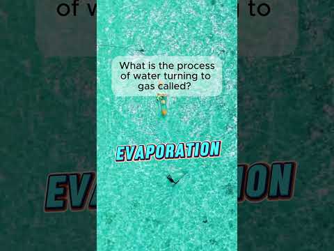 I Lost My Mind Making This Quiz! Can You Beat This Quiz .Questions That’ll Stump 99% of People!
