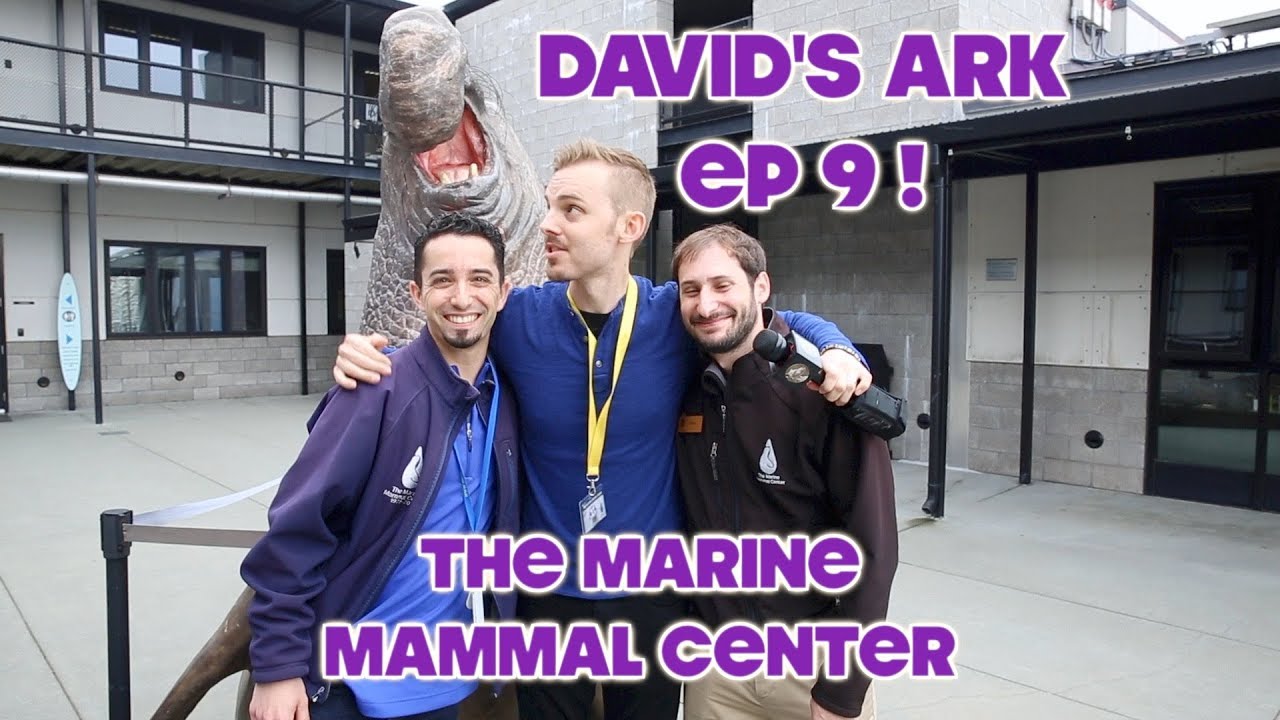 Hire David Studebaker - Stand-Up Comedian in San Francisco, CA | GigSalad