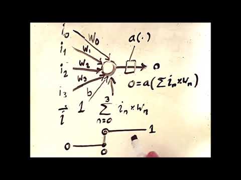 Perceptrons: The Building Blocks of Neural Networks