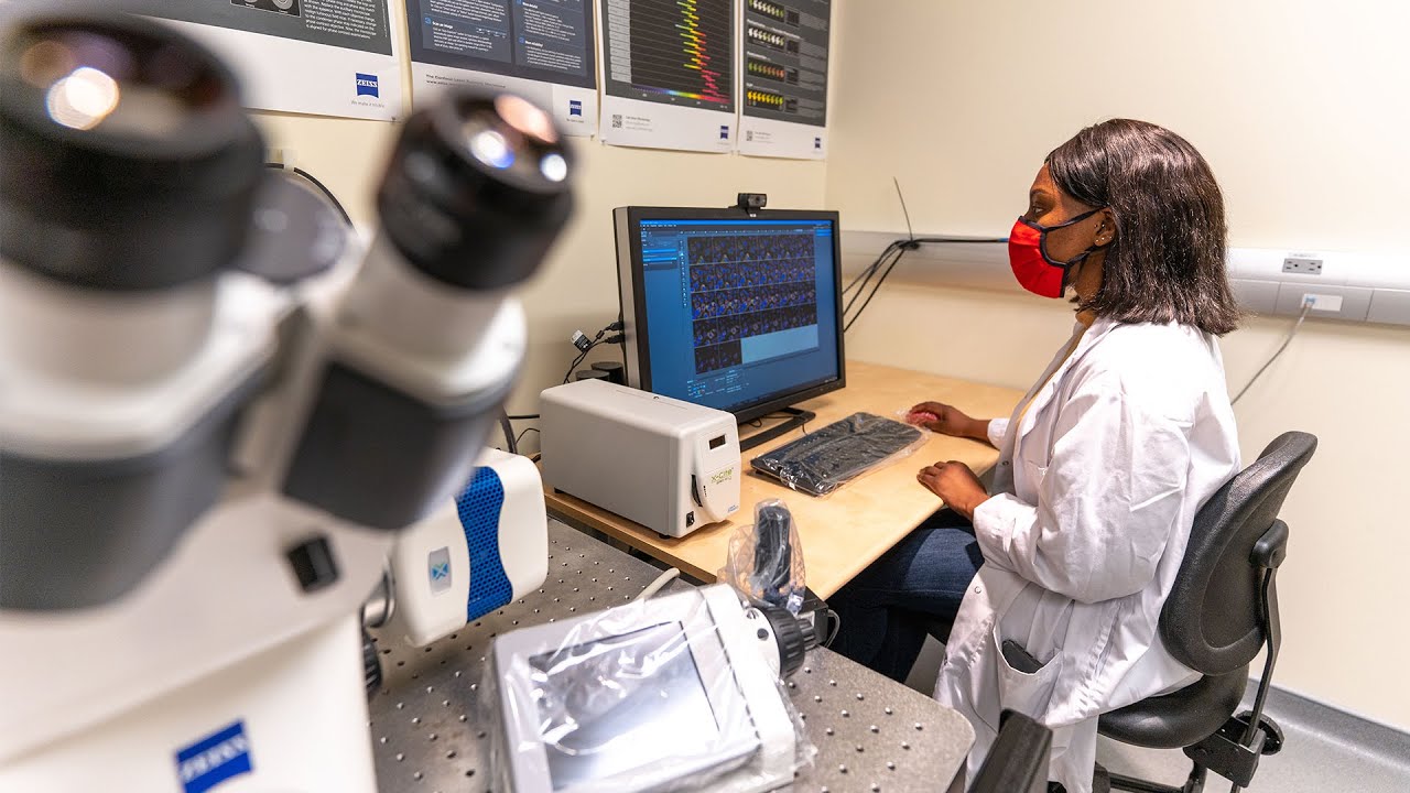 Faculty Innovation Series: The Virtual Microscopy Lab