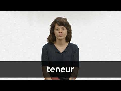 English Translation of “TENEUR” | Collins French-English Dictionary