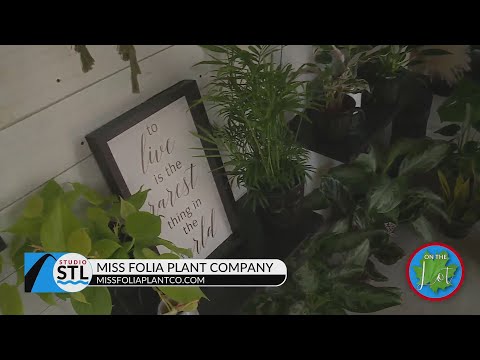 Miss Folia Plant Company blooms where it's planted!