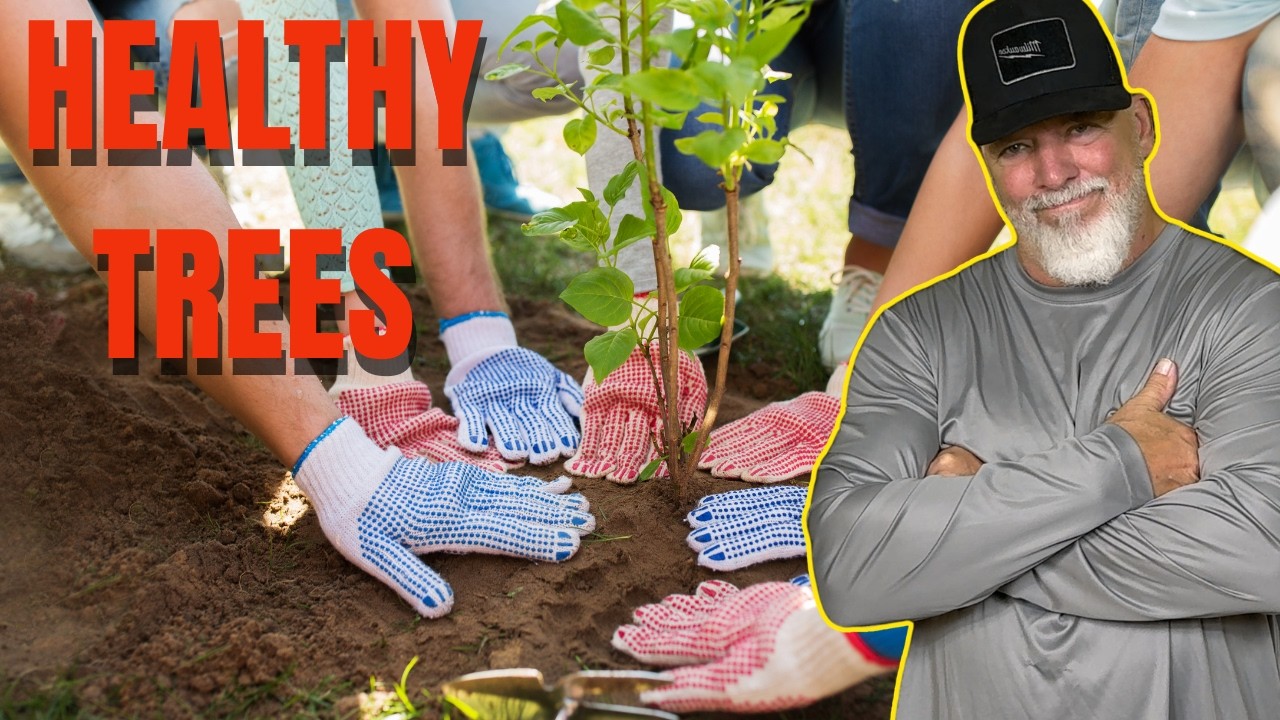 Most Trees Die Because Of This Planting Mistake