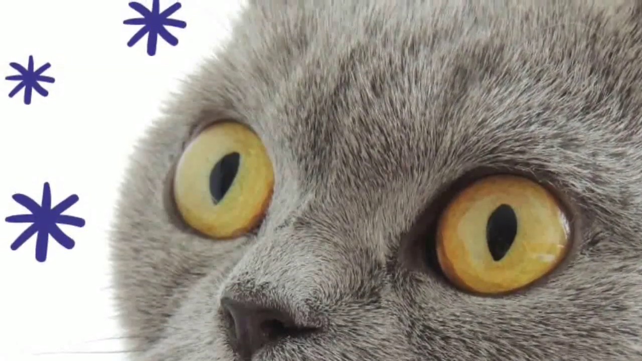 UNA MIRADA A BABIDI-BÚ, LA EDITORIAL INFANTIL DE SEVILLA