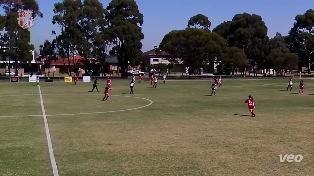Essendon Royals Soccer Club – A leading soccer club in Moonee Valley.