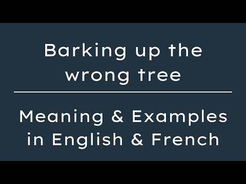 What Does "Barking up the wrong tree" Mean in French? | English to French Idioms