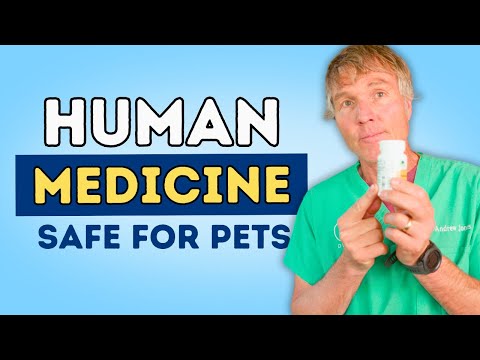 Vet-Approved: 5 OTC Meds That Can Save Your Pet's Day