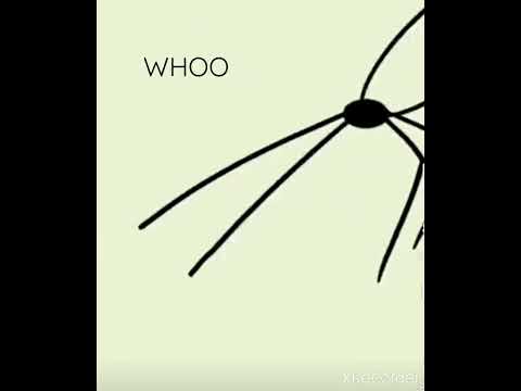subtitle test